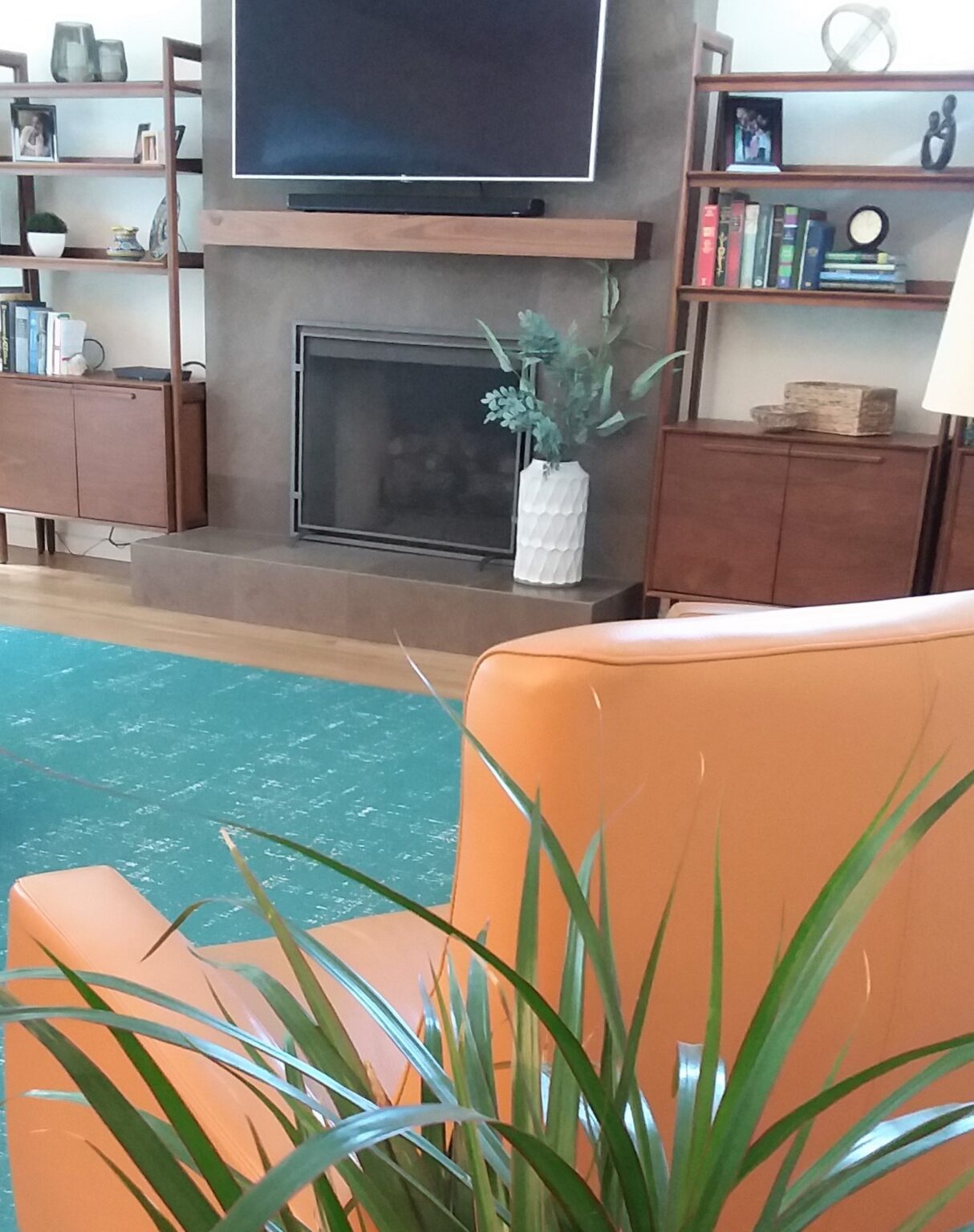 Recent Projects - One Day Design | Mary Brown, Interior Designer ...